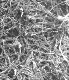 Home | Perf-Form Filters