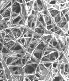 Home | Perf-Form Filters